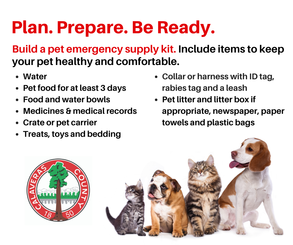 Emergency Operations